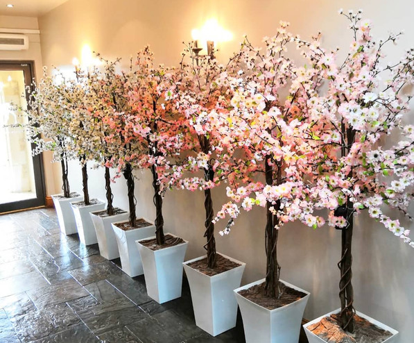 BLOSSOM TREES | Aisle Hire It! | Gloucestershire & Cotswolds