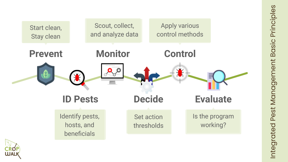 What an IPM Plan Looks Like