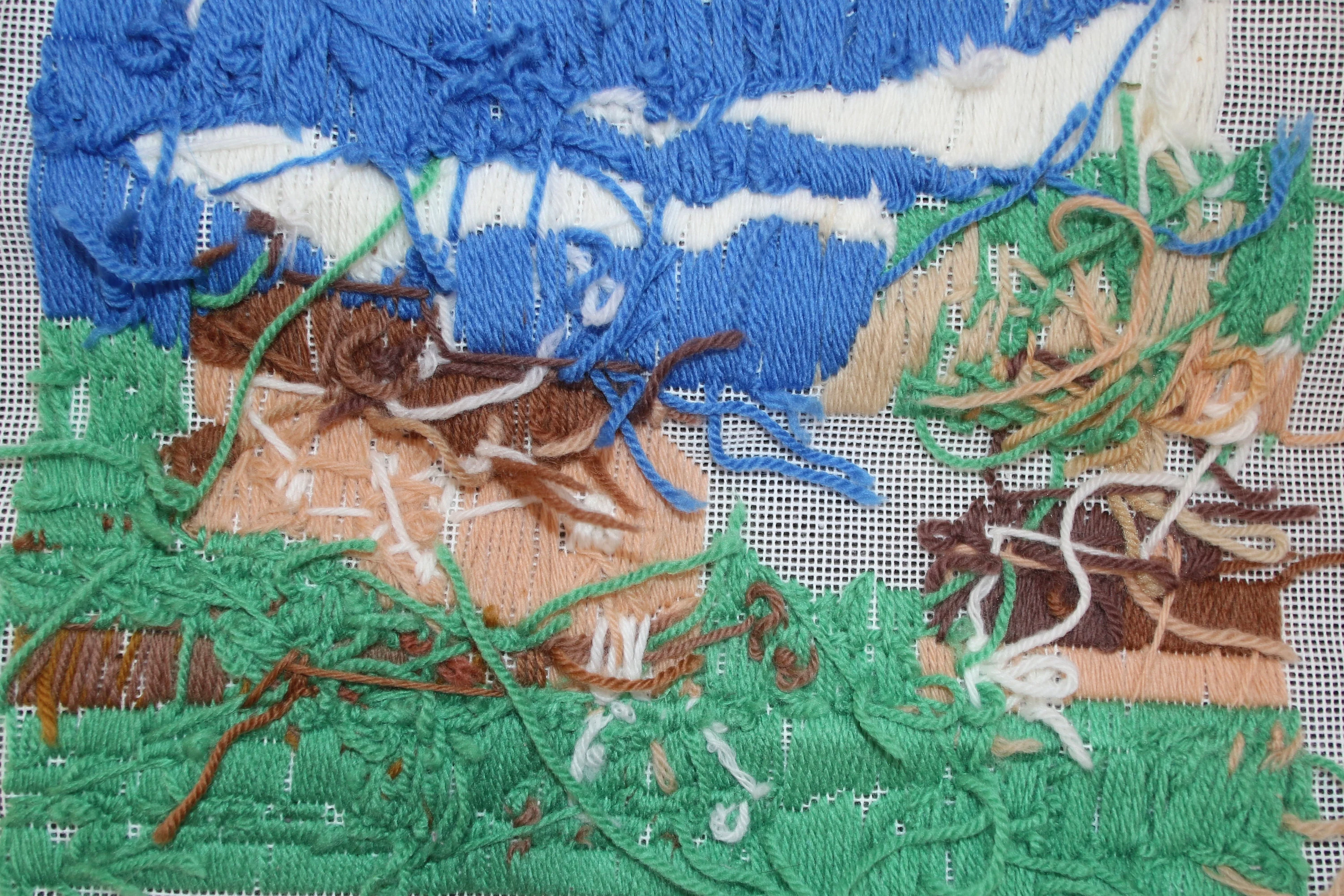 Long Stitch Buildings, Partially Completed | Tasmanian Beauties