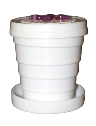 Preloved Vintage Tuckaway Cups Folding cup | Tasmanian Beauties