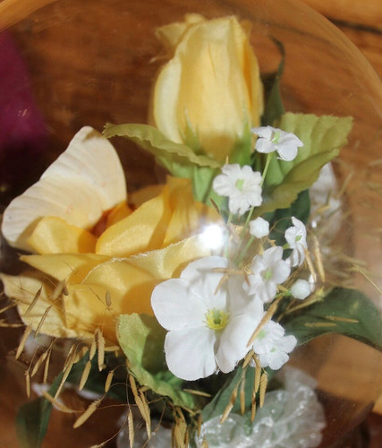 Preloved Webb Flower display in glass terrarium | Tasmanian Beauties