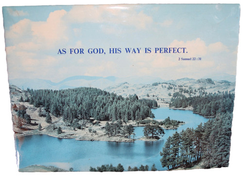 Preloved Religious Picture, 2 Samuel 22:31, God's Way, Religious ...