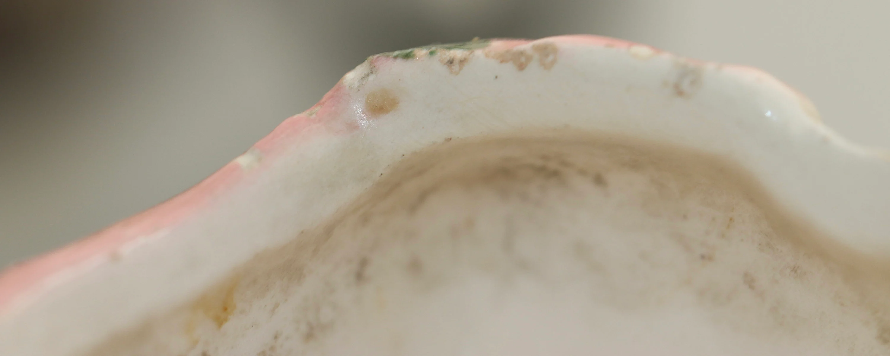 Preloved Chicken Pushing A Barrow Planter | Tasmanian Beauties