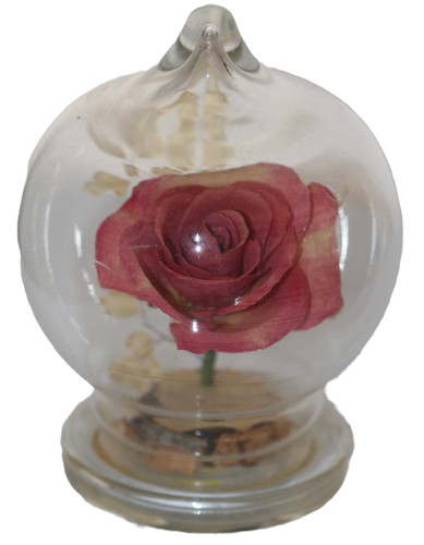 Preloved Flower display in glass terrarium | Tasmanian Beauties