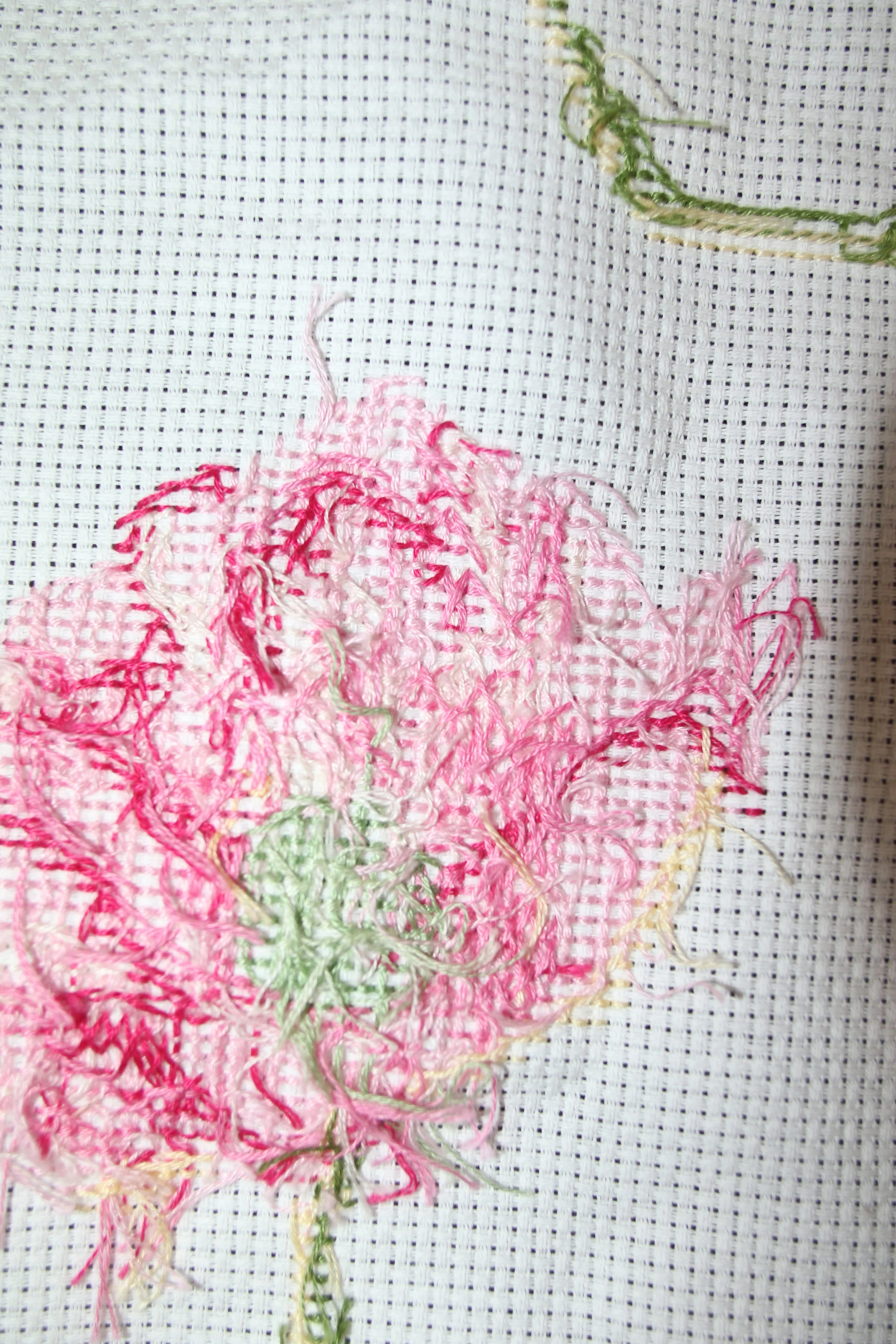 Preloved Floral Cross-Stitch Needlecraft | Tasmanian Beauties