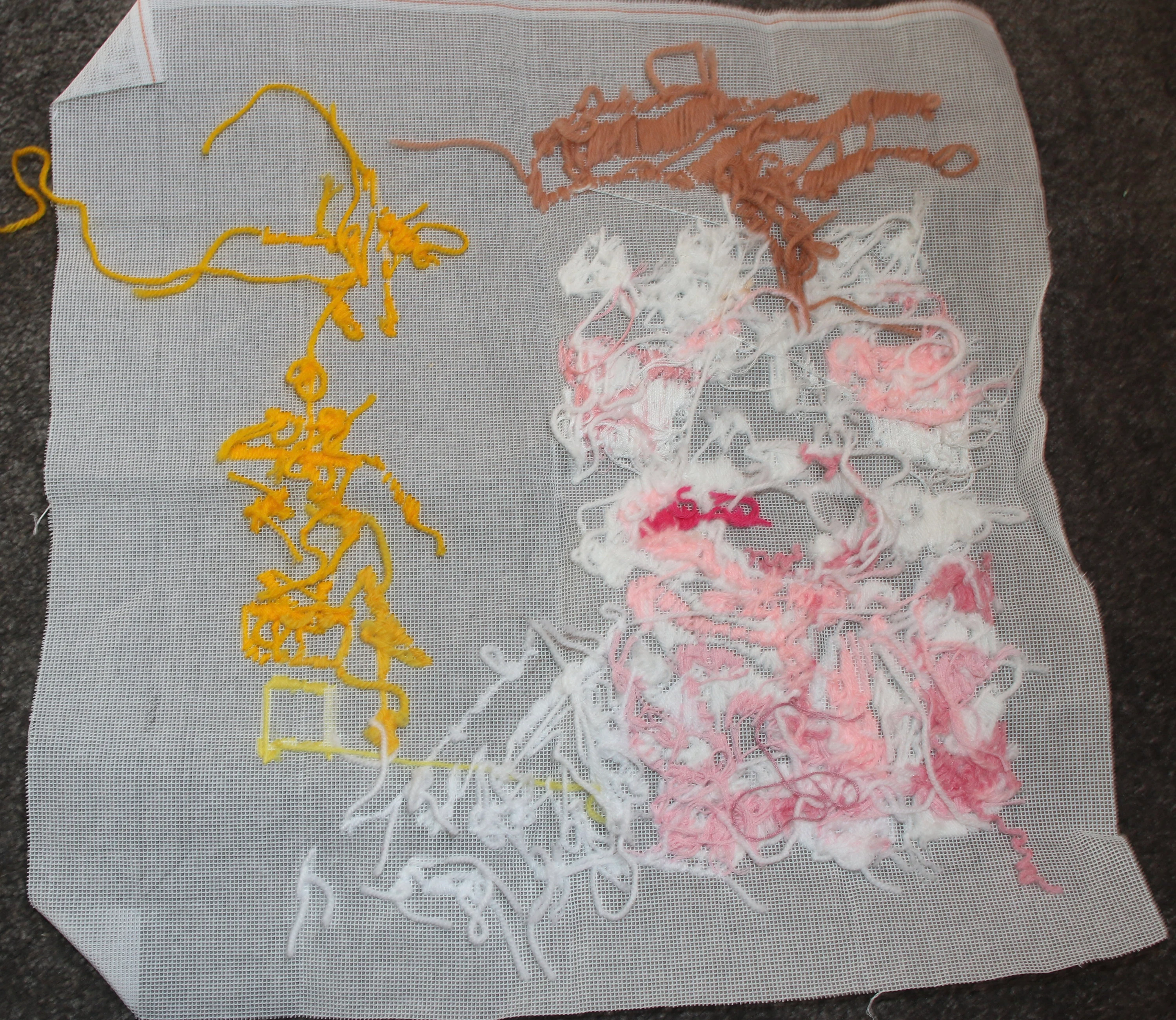 Preloved Buddha Canvas, Partially Complete Canvas | Tasmanian Beauties