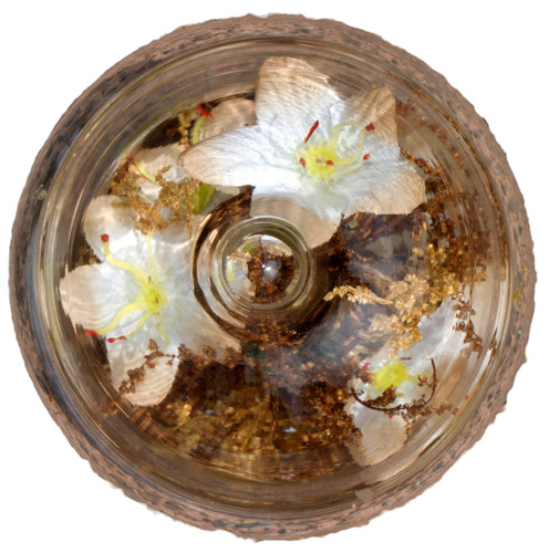 Preloved Flower display in glass terrarium | Tasmanian Beauties