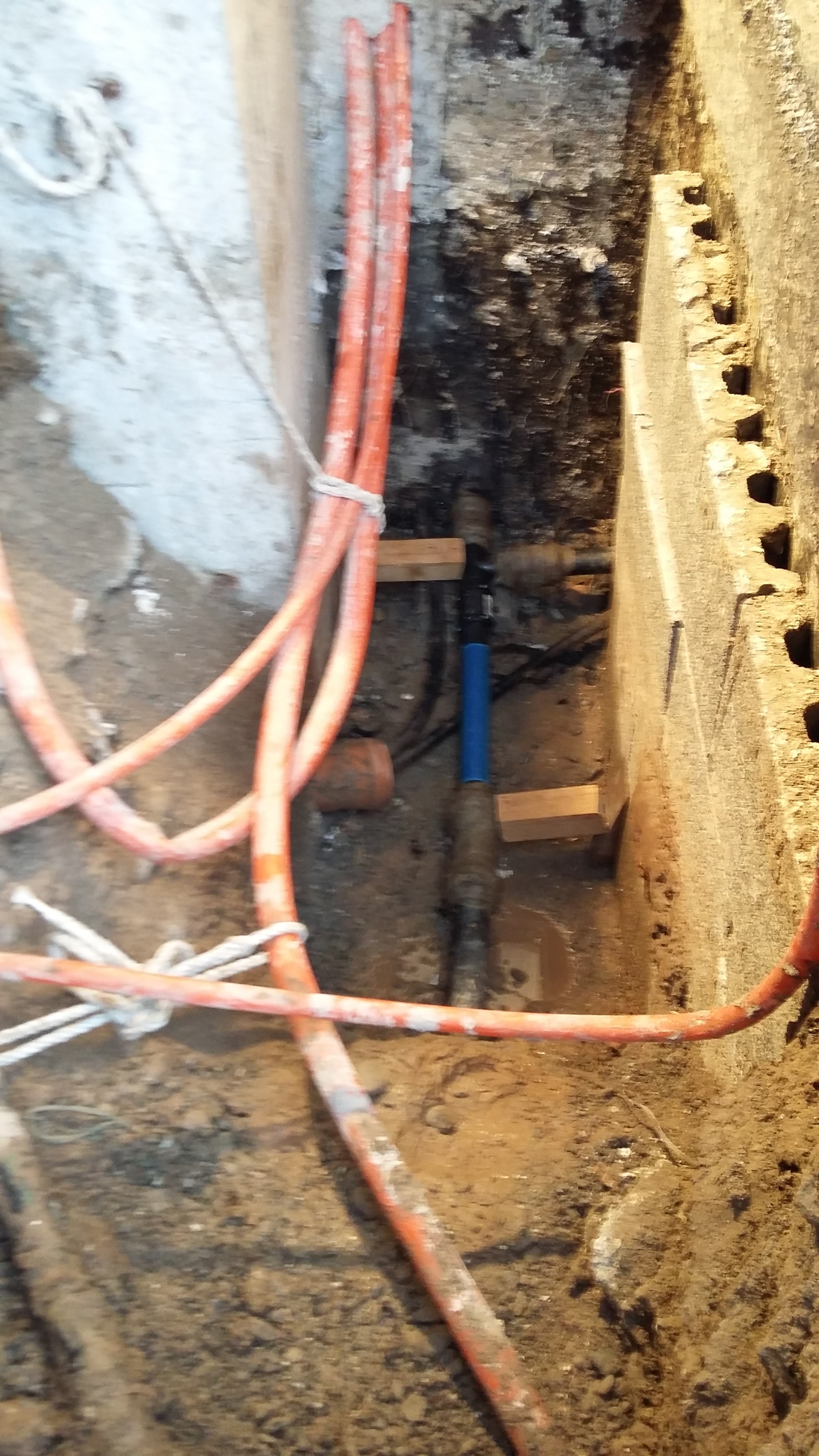 Felix Alder BaggerArbeiten Hombrechtikon