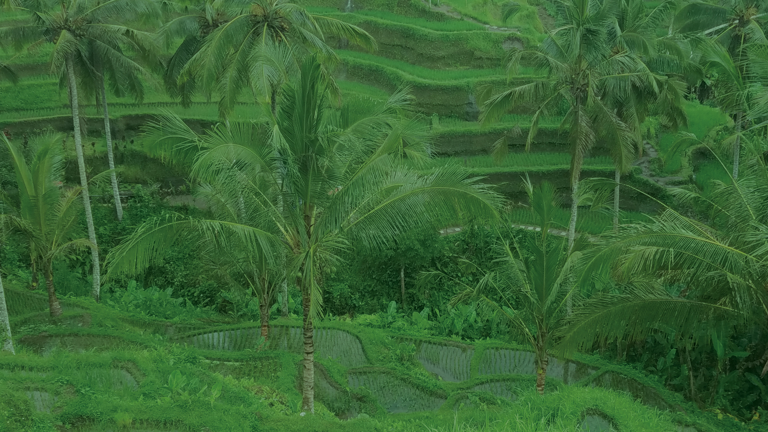 E-Evaluate-3 Wrap-up, P.E.R.fect Practice Forum | P.E.R.L.O.V.E.