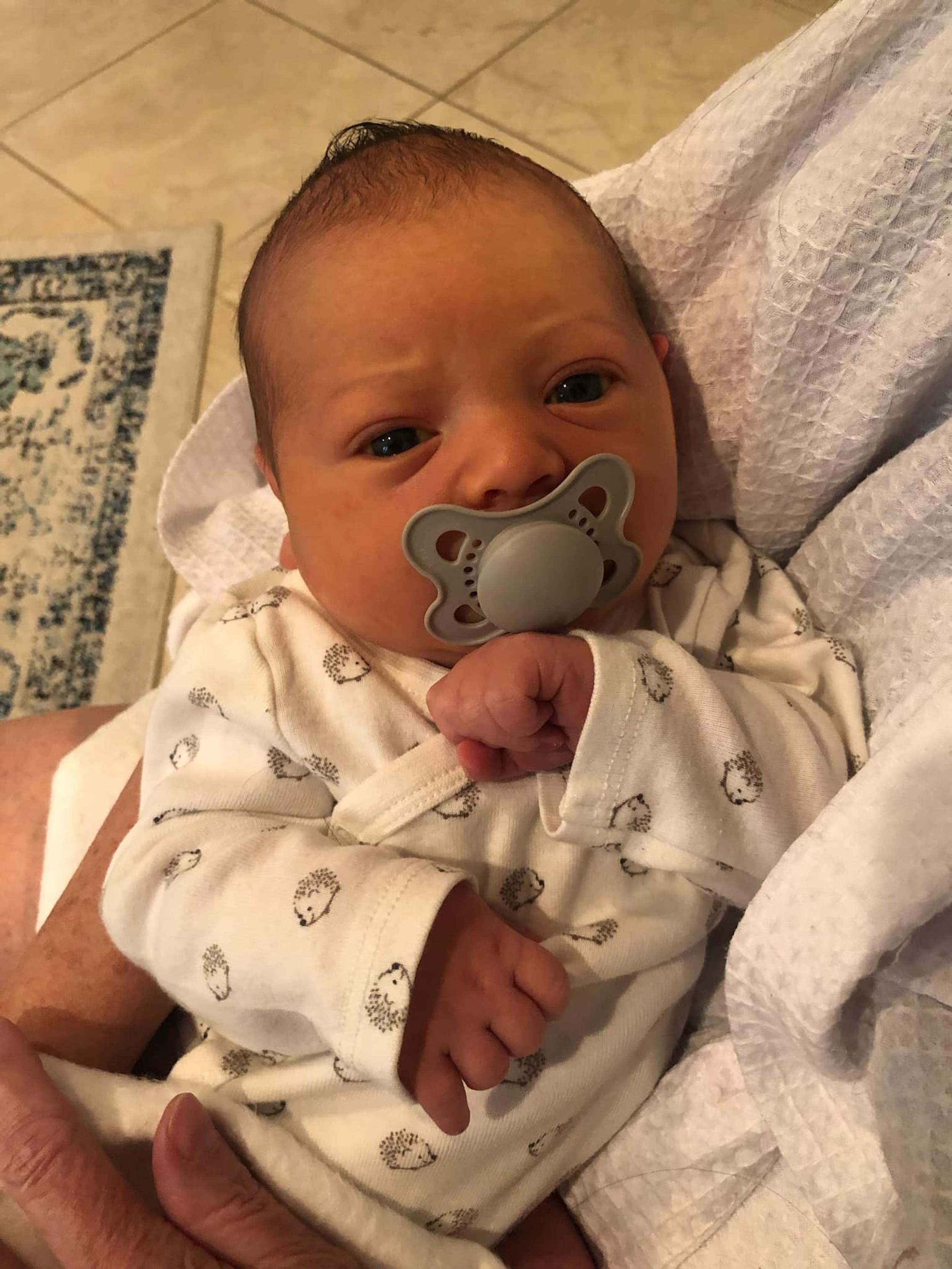 2022 Natural Fertility | Elements in Harmony Acupuncture & Chinese Herbs