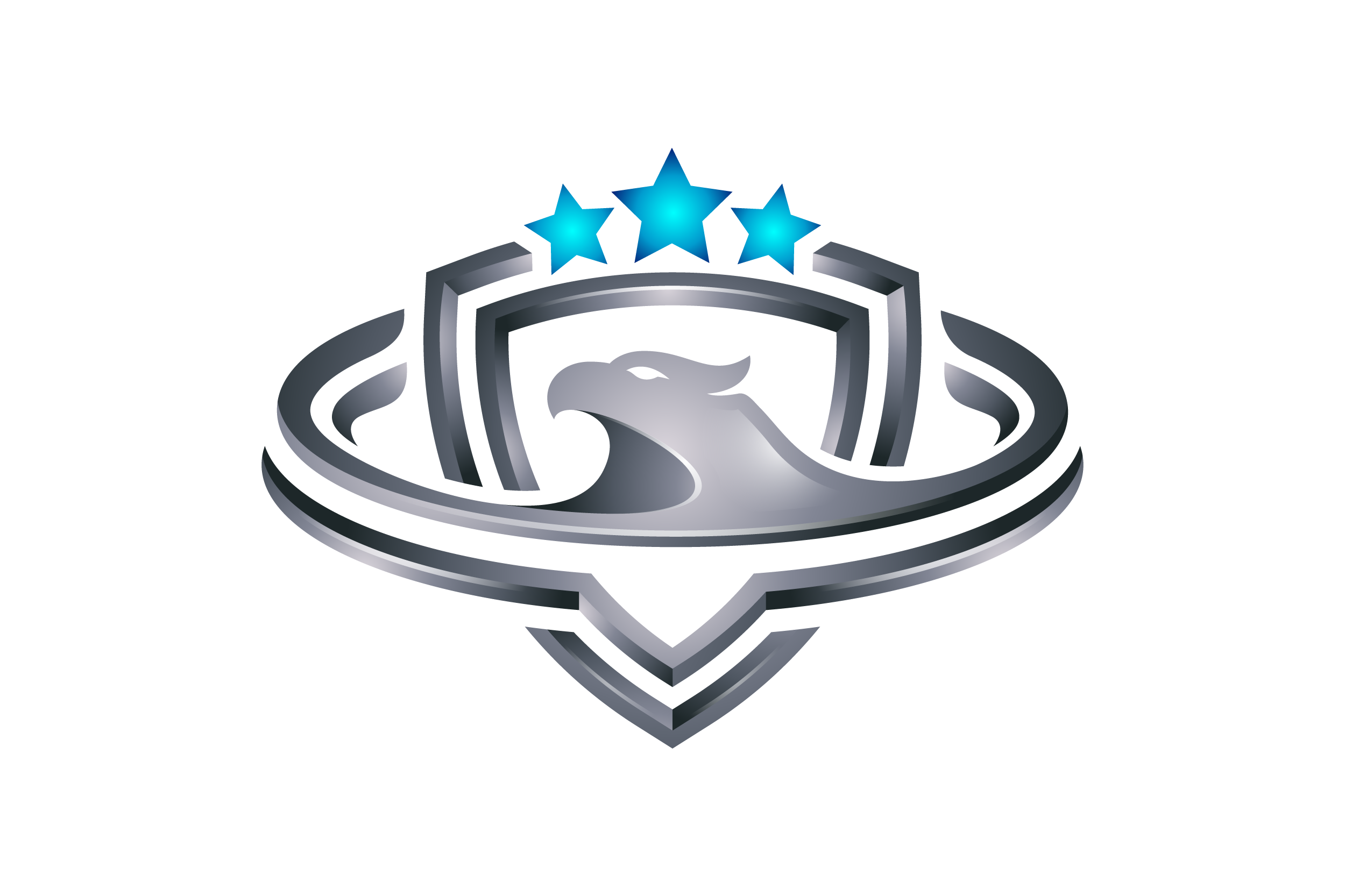 First Shield Scans | Home Documentation | Pittsburgh