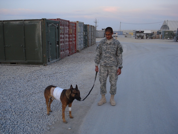 Inside the World of Military Veterinarians with COL Dickie J. Vest, DVM ...