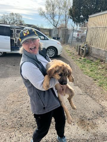 Celebrating Military Medical Spouses and Families: Strength, Resilience ...