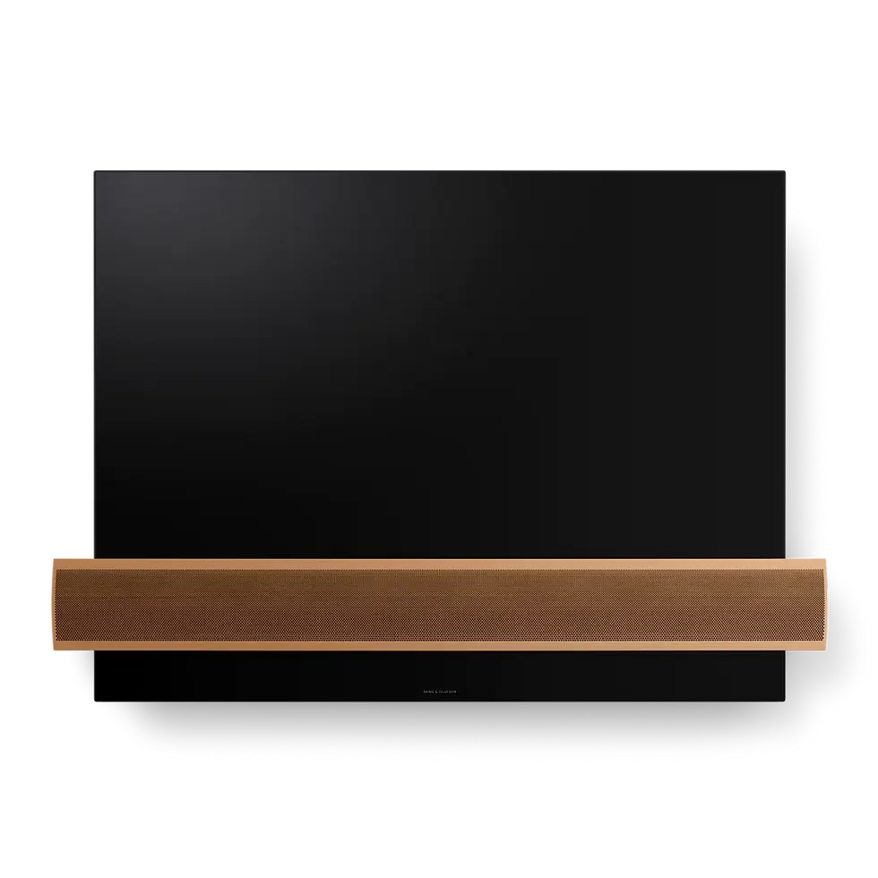 Beovision Eclipse 55 Grill | Approved Used B&O