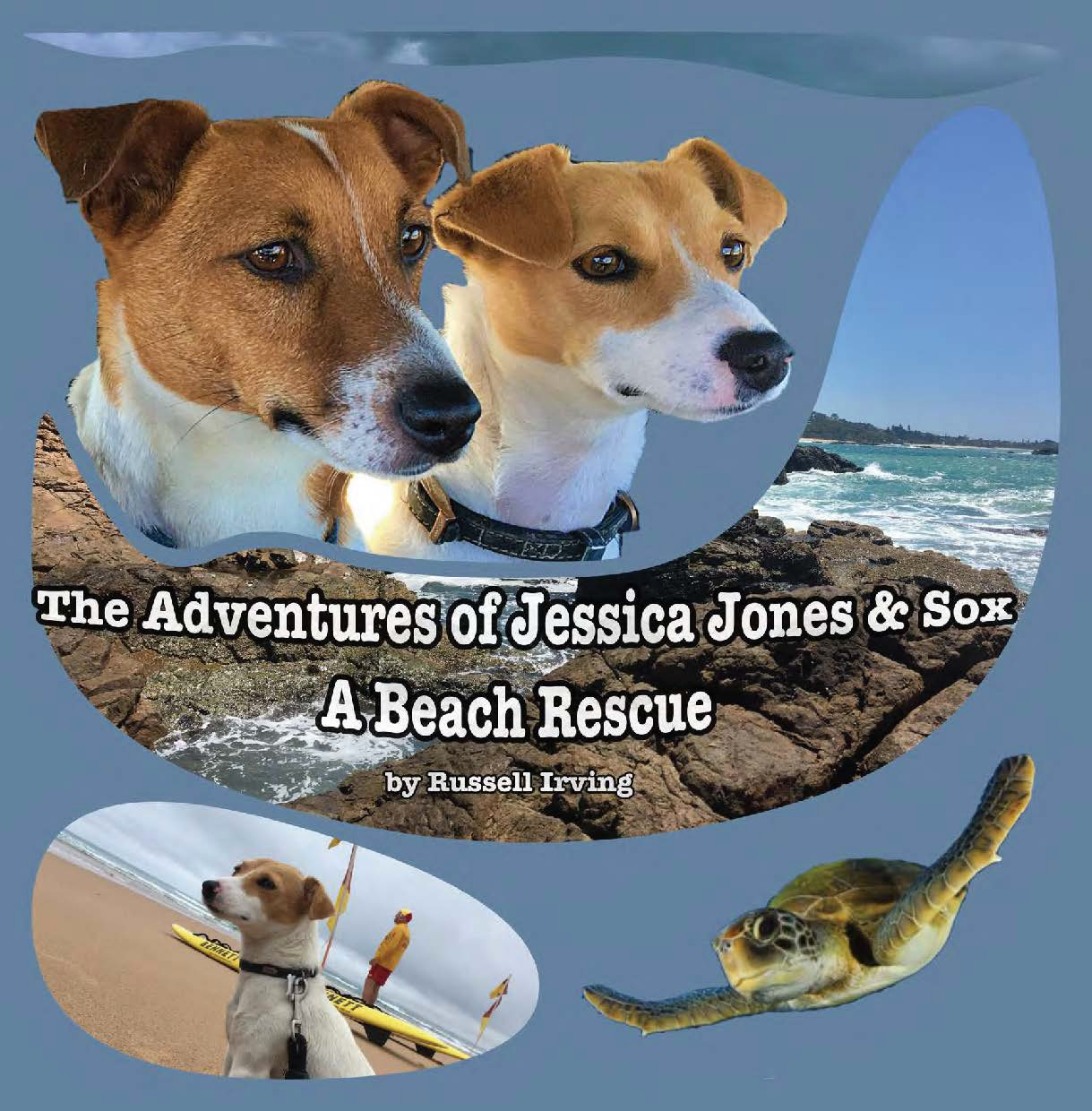 The Adventures of Jessica Jones and Sox a beach rescue