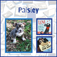 Public Library | Wilson County Public Libraries