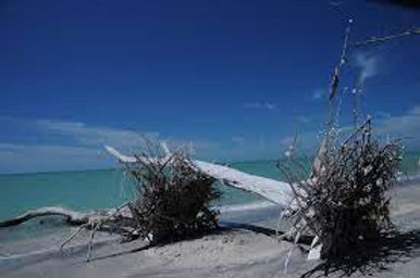 Stump Pass Beach State Park | Englewood, FL | Tourist Info