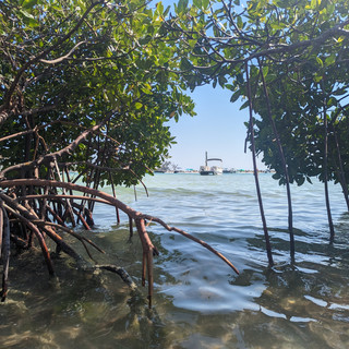 Stump Pass Sandbar | Englewood