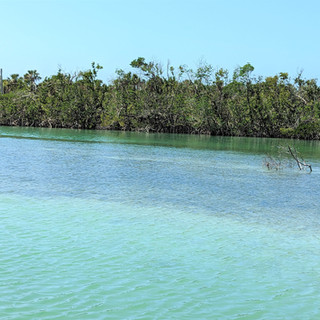 Stump Pass Sandbar | Englewood