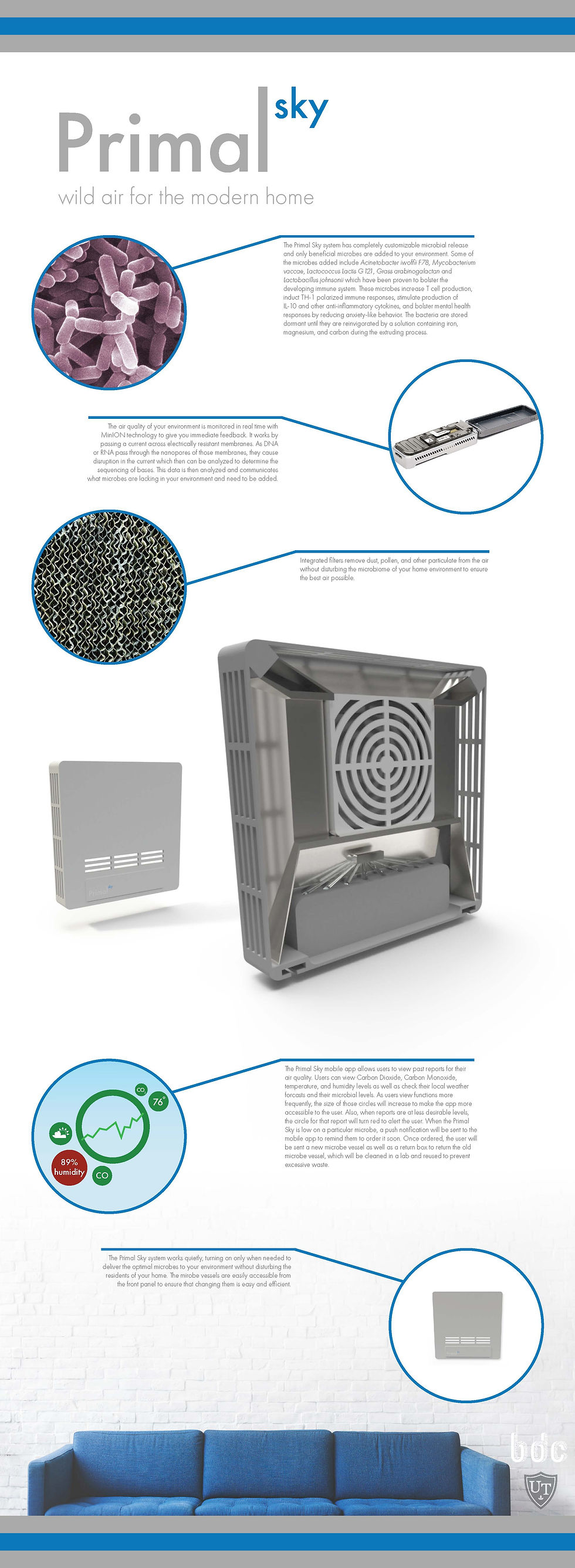 Primal Sky | Valerie Jo White - Artist | United States