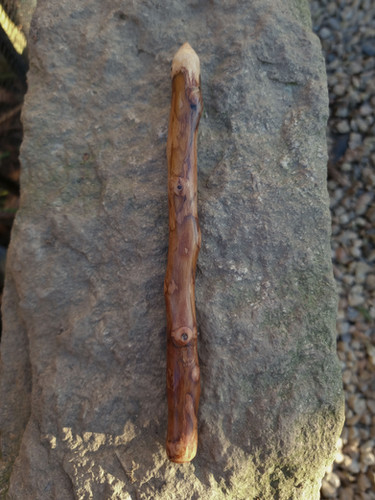 Blackthorn Blasting Rod | The Magpie & The Moon