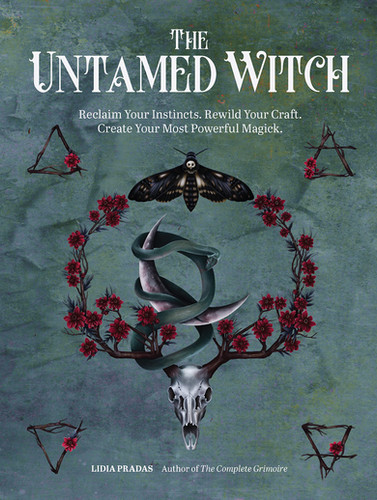 The Untamed Witch | The Magpie & The Moon