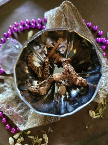 Low John Root - One Whole Root | The Magpie & The Moon