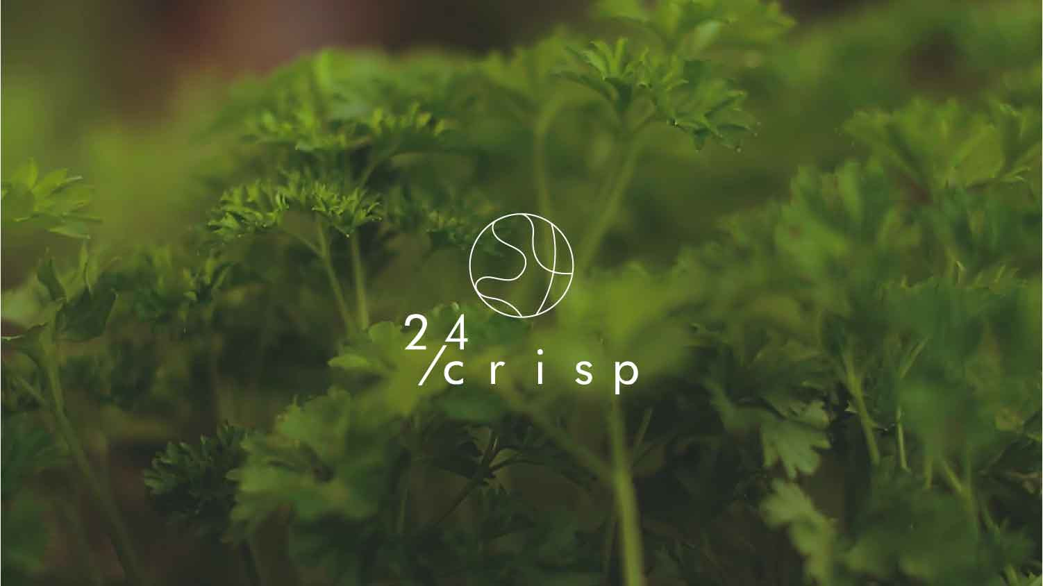 Home gardening experience | 24crisp