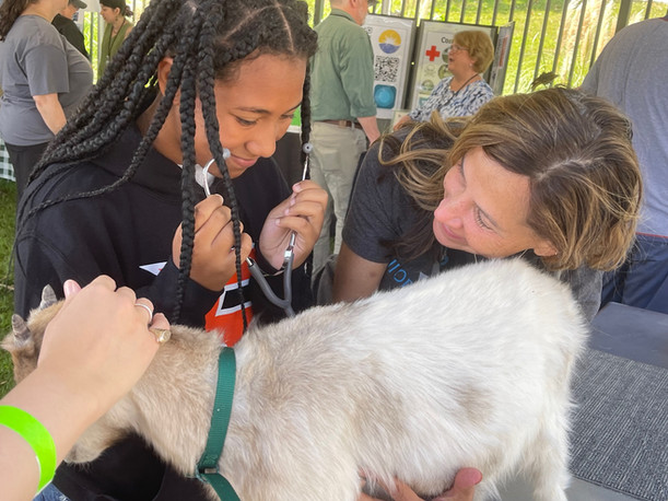 Kids Vet Club Summer Camp | Junior Vet Academy