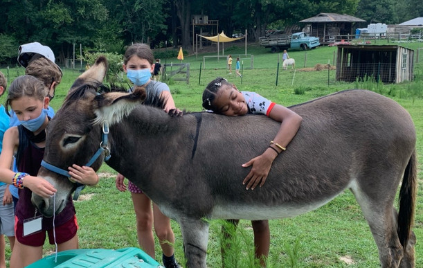 Kids Vet Club Summer Camp | Junior Vet Academy