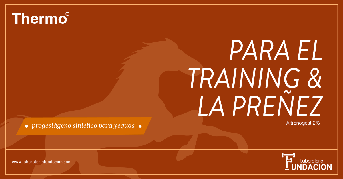 Thermo | Lab Fundacion