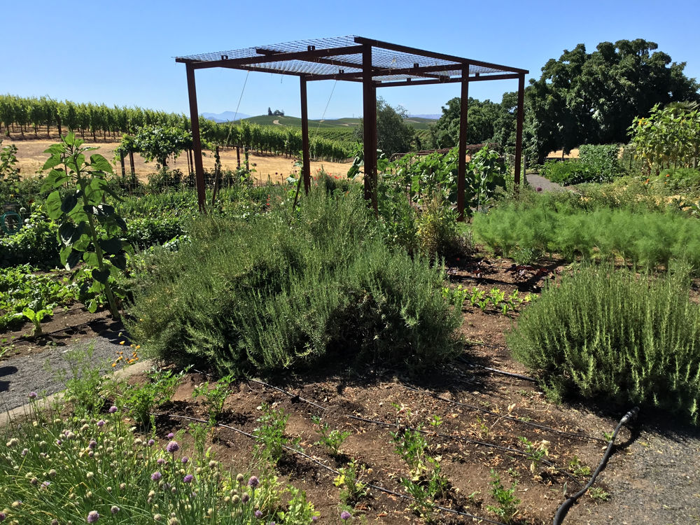 Wine By Appointment’s Heavenly Haunt to Hudson Ranch