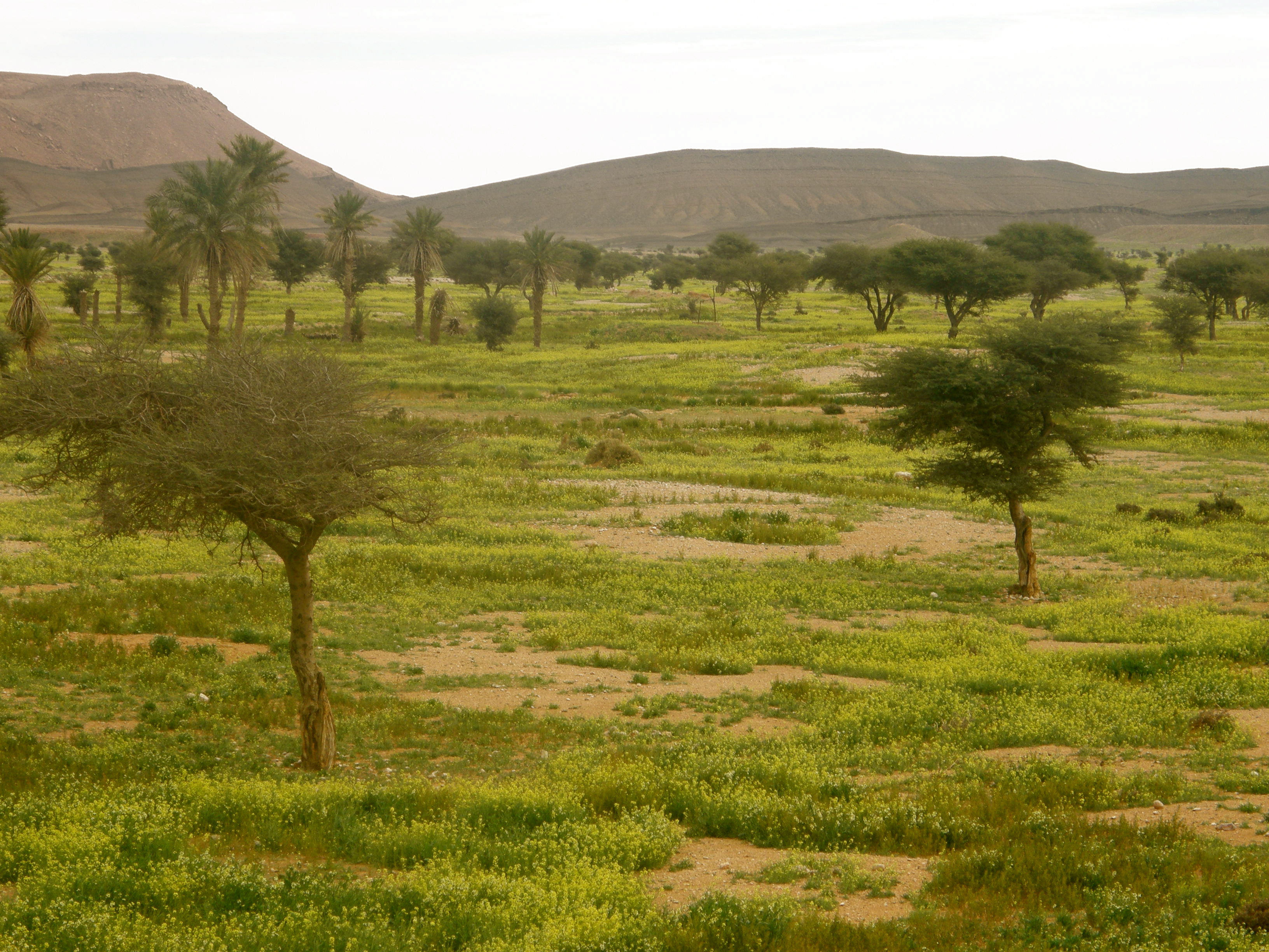 UNFORGETTABLE ADVENTURES | dumas-arts