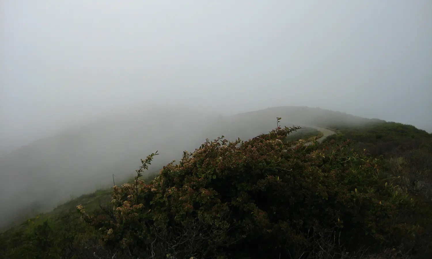 South San Francisco Climate Action Plan | raimiassociates