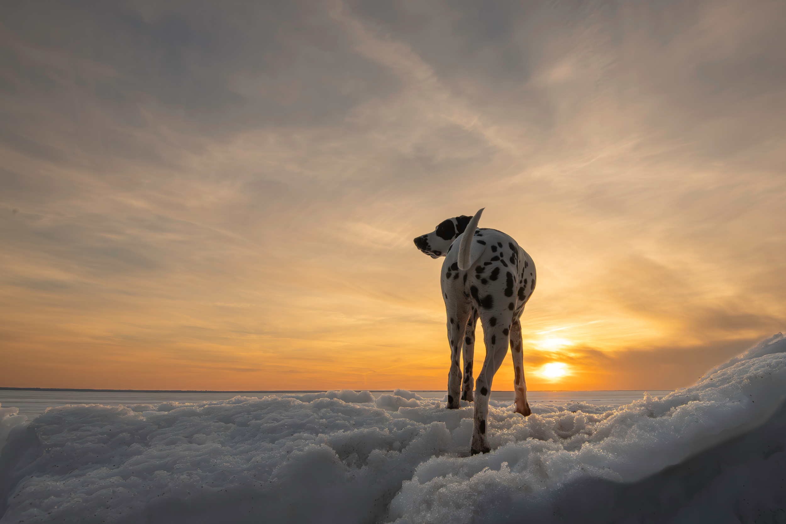 Portfolio | Tracey Mcintosh Photography