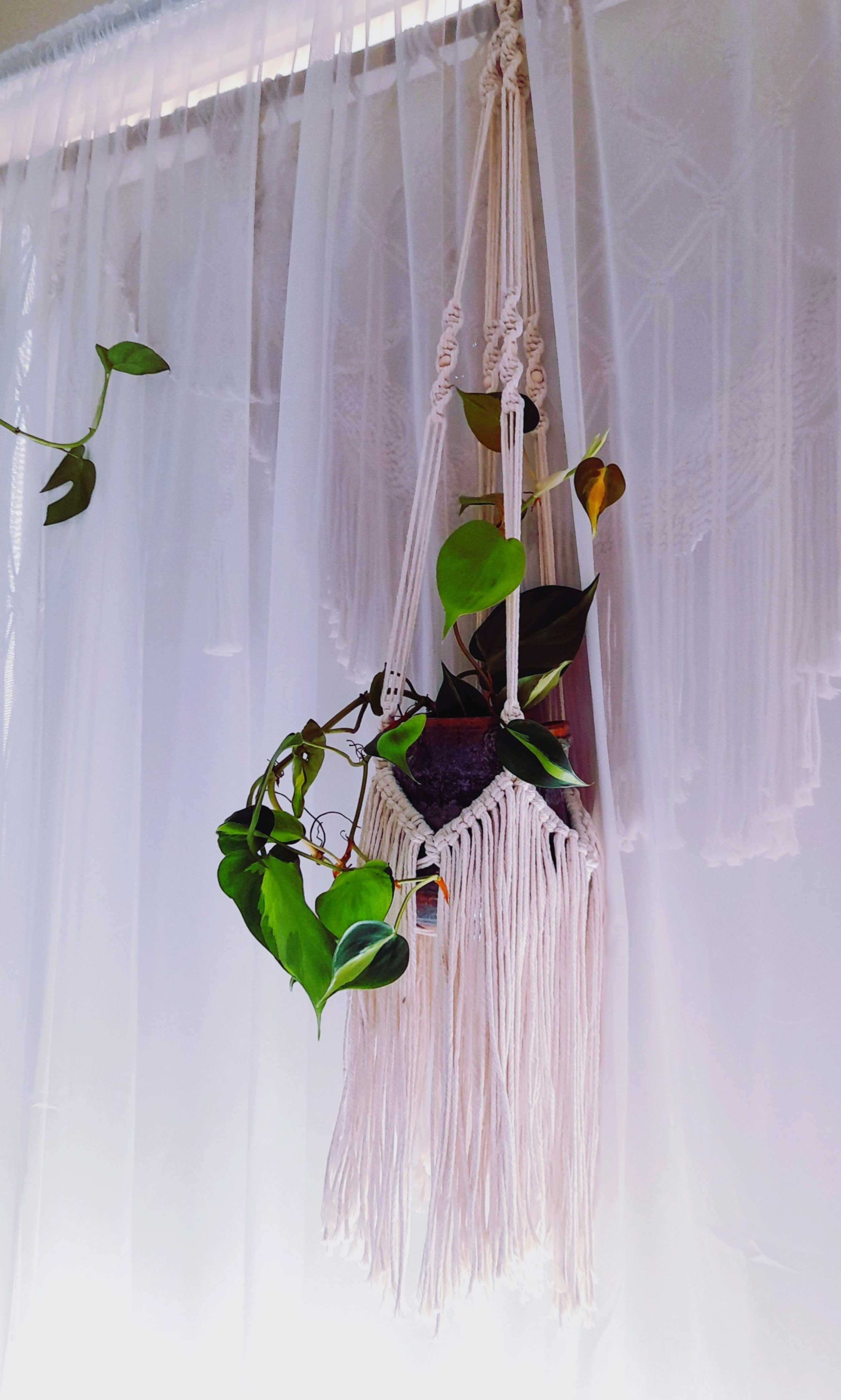 Macrame Plant Pot Hangers | Tigalilly.Design