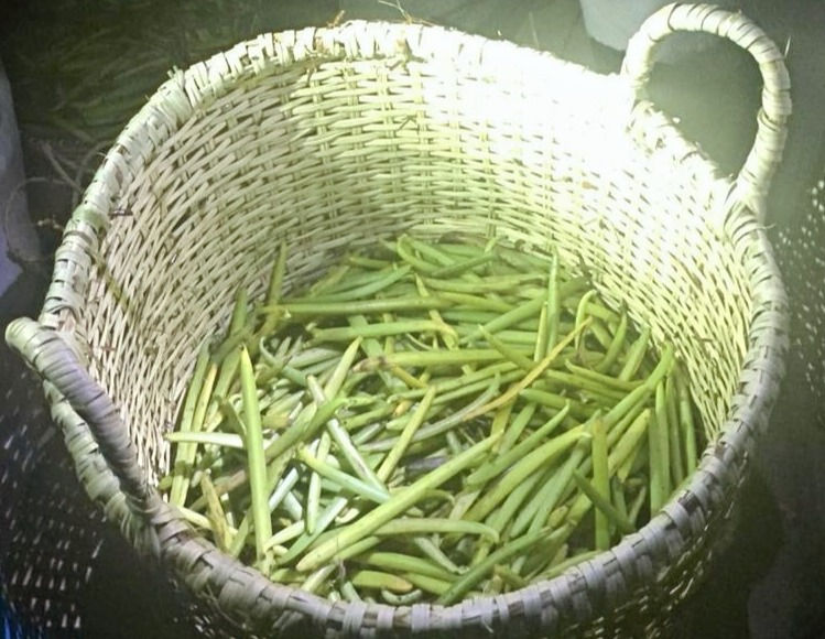 The Benefits of Curing Vanilla the Traditional Way