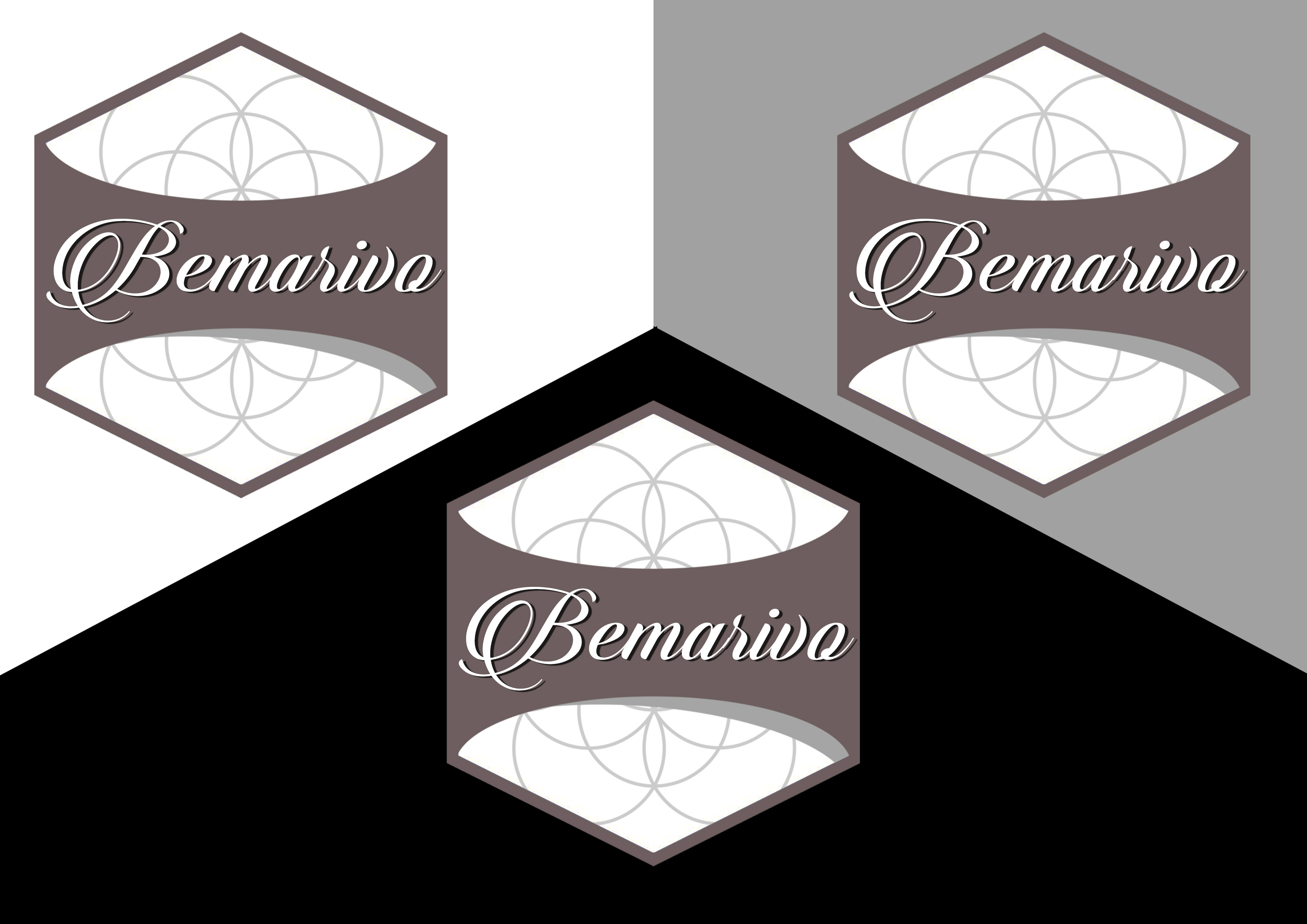 A Look Inside the Fascinating Vanilla Pollination Process