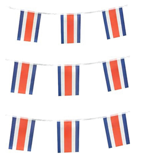 GUIRNALDA BANDERINES TELA BANDERAS COSTA RICA | fiestaycarnaval.com