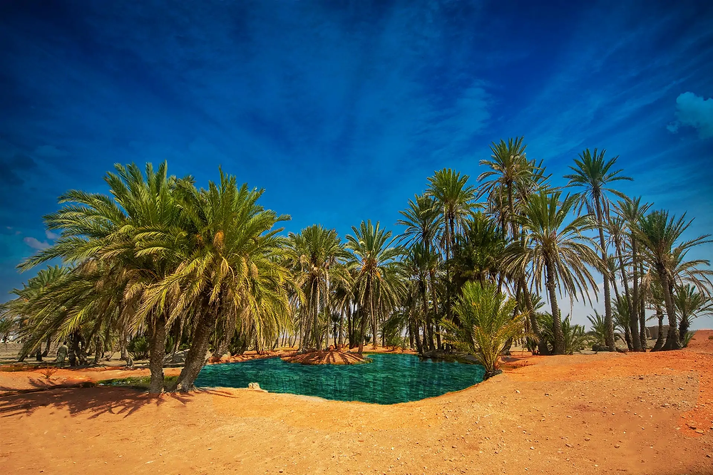 The Legend of Panjgur's Name