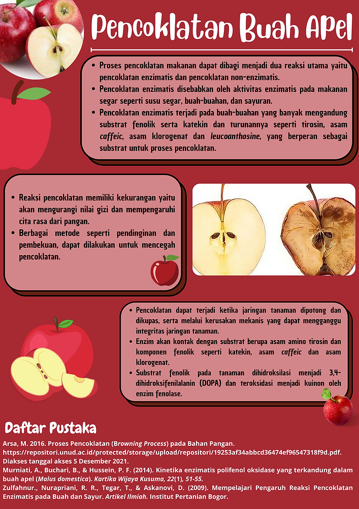 FUNFACT ABOUT PENCOKLATAN
