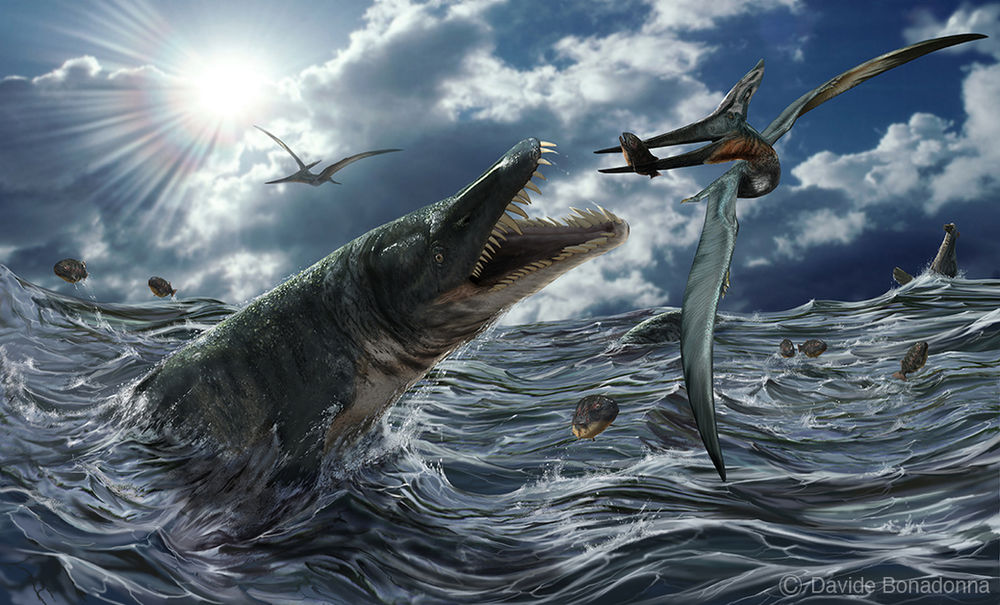 Ma quanto è grande un Mosasaurus?
