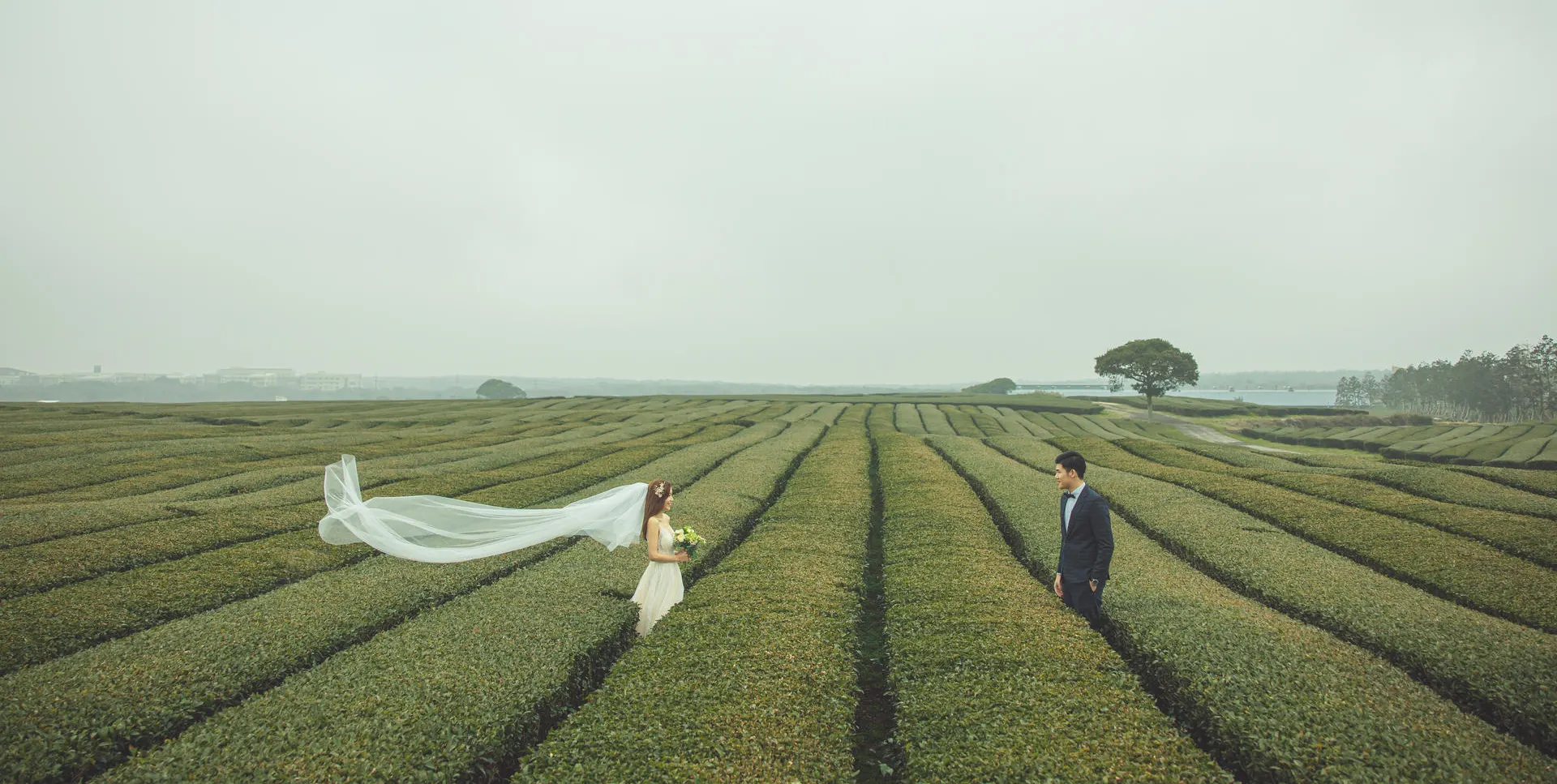 Snapro 攝影速約平台