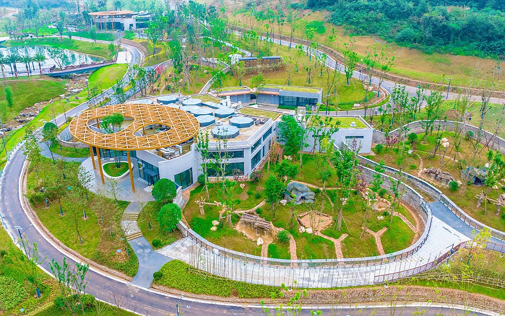 China's latest giant panda base opens to public