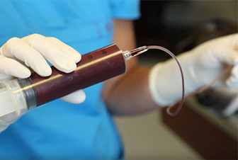 Is Pro-Stride Right for Your Horse?