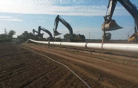 דף הבית | Dolev Holding LTD