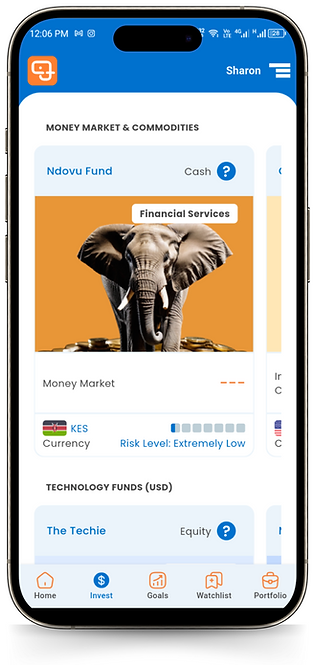 Money Market Fund | Ndovu