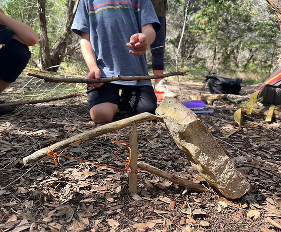 making a colony trap