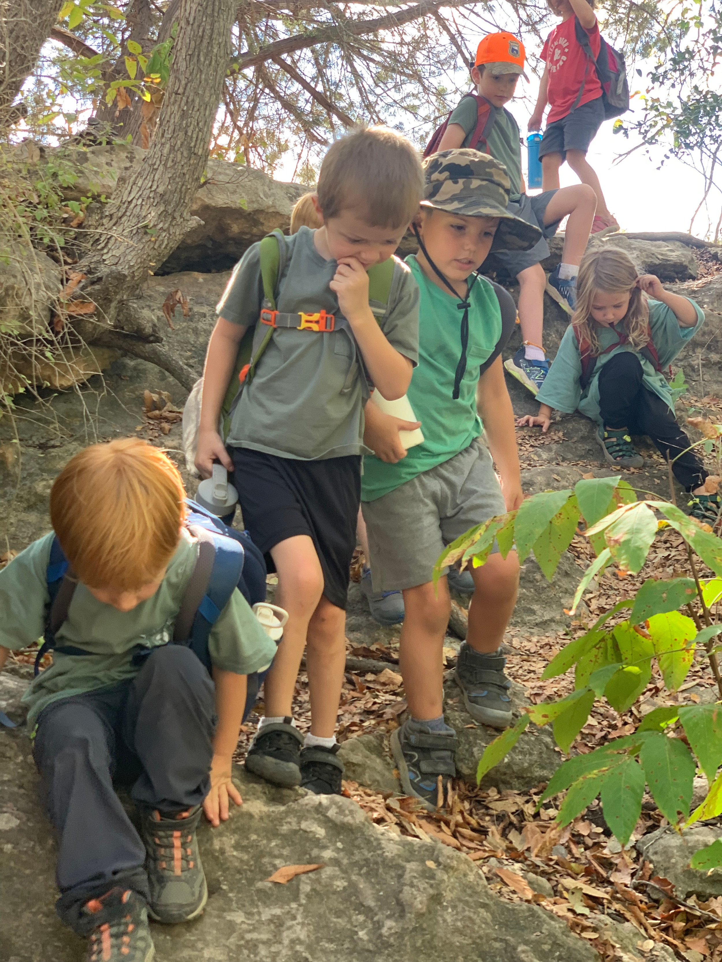 Farm and Forest Roots Trial Day | Earth Native School