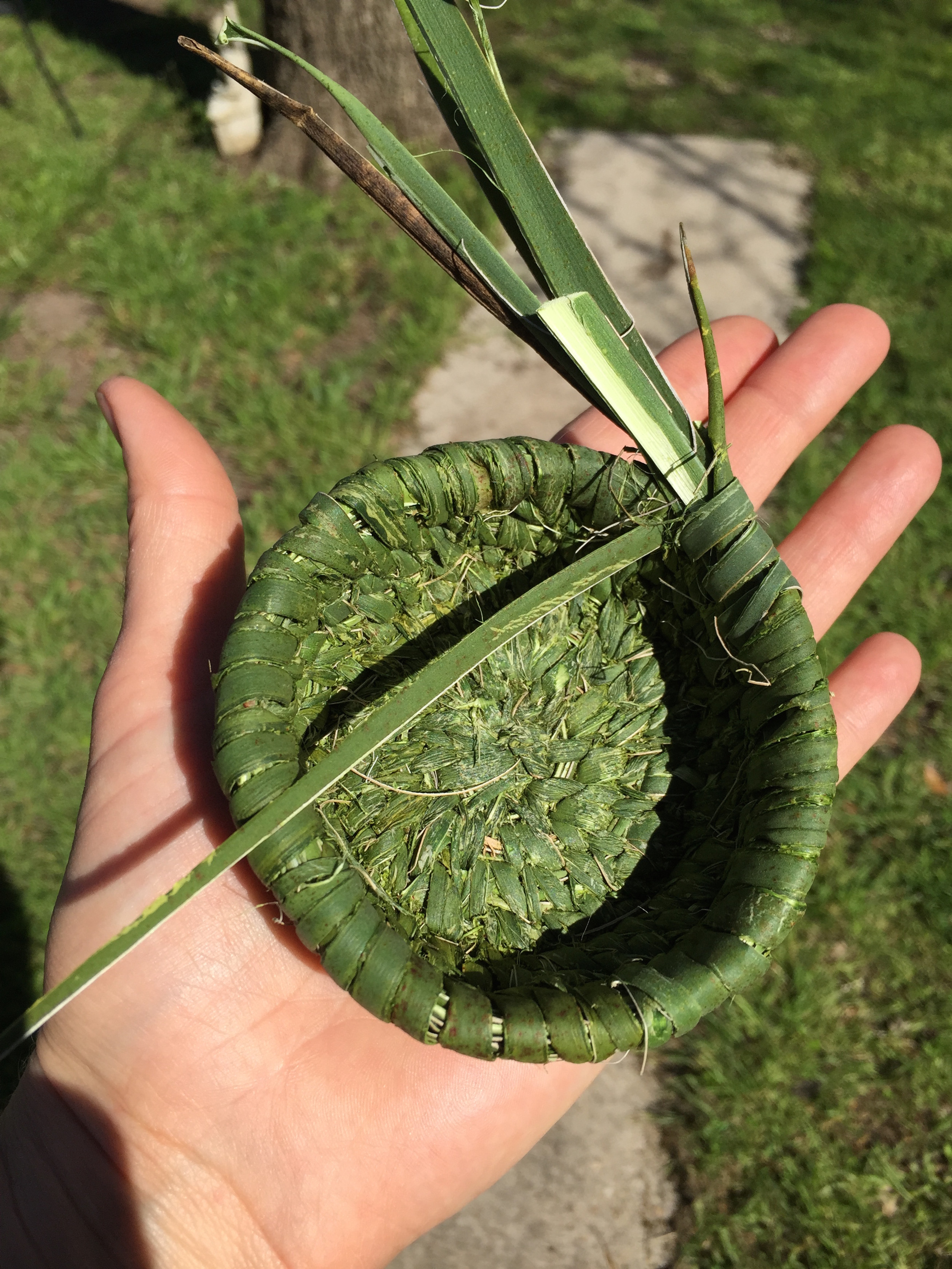 Yucca Baskets Earth Native School yucca-baskets-earth-native-school